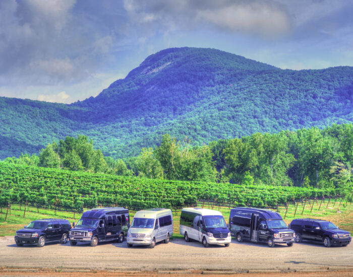VIP Southern Wine Tours - Wineries & Vineyards - Helen, Georgia